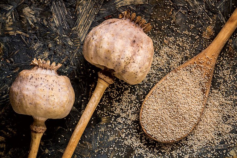 Obnovte tradície našich starých rodičov: Viete, ako pestovať mak ...