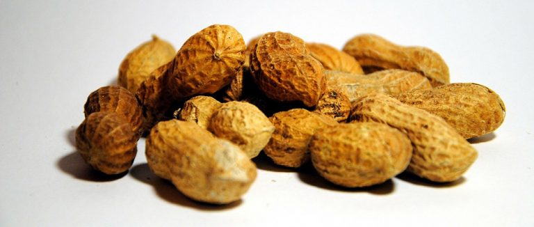 Prečo pestovať a zaradiť do jedálneho lístka arašidy? Okrem lahodnej ...