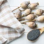 Mak siaty: Rastlina s nádhernými kvetmi, ktoré lákajú aj hmyz | Záhrada.sk