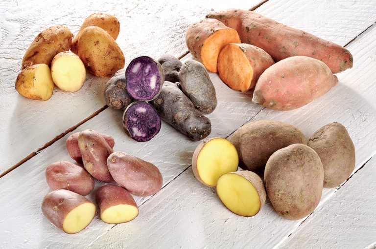 6 užitočných rád, vďaka ktorým dopestujete krásne zemiaky - Záhrada.sk