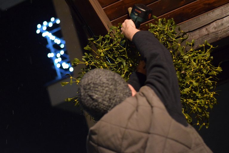 Jeden zo symbolov Vianoc. Pre toto sa imelo nemá kupovať! - Záhrada.sk