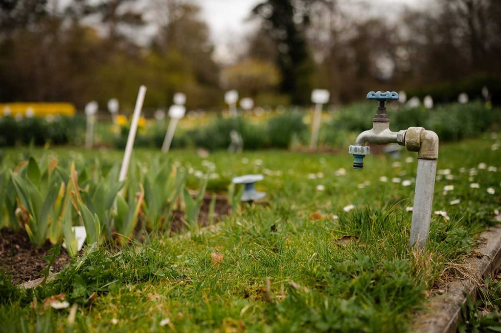 Tipy, ako šetriť a recyklovať vodu v záhrade - Záhrada.sk