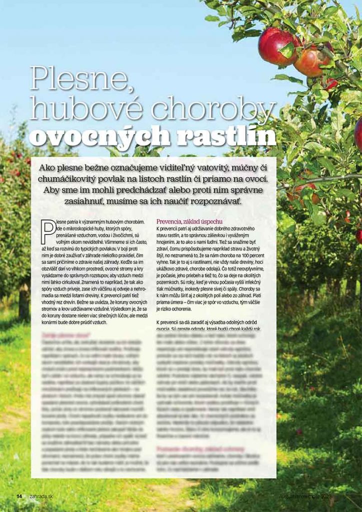 Čo robiť, keď ovocie napadnú plesne, čím nahradiť krušpán a čo rezať koncom leta? Týmto témam sa ...
