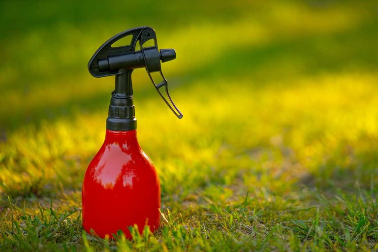 3x domáci postrek na pýr, ktorý prinesie výsledky - Záhrada.sk